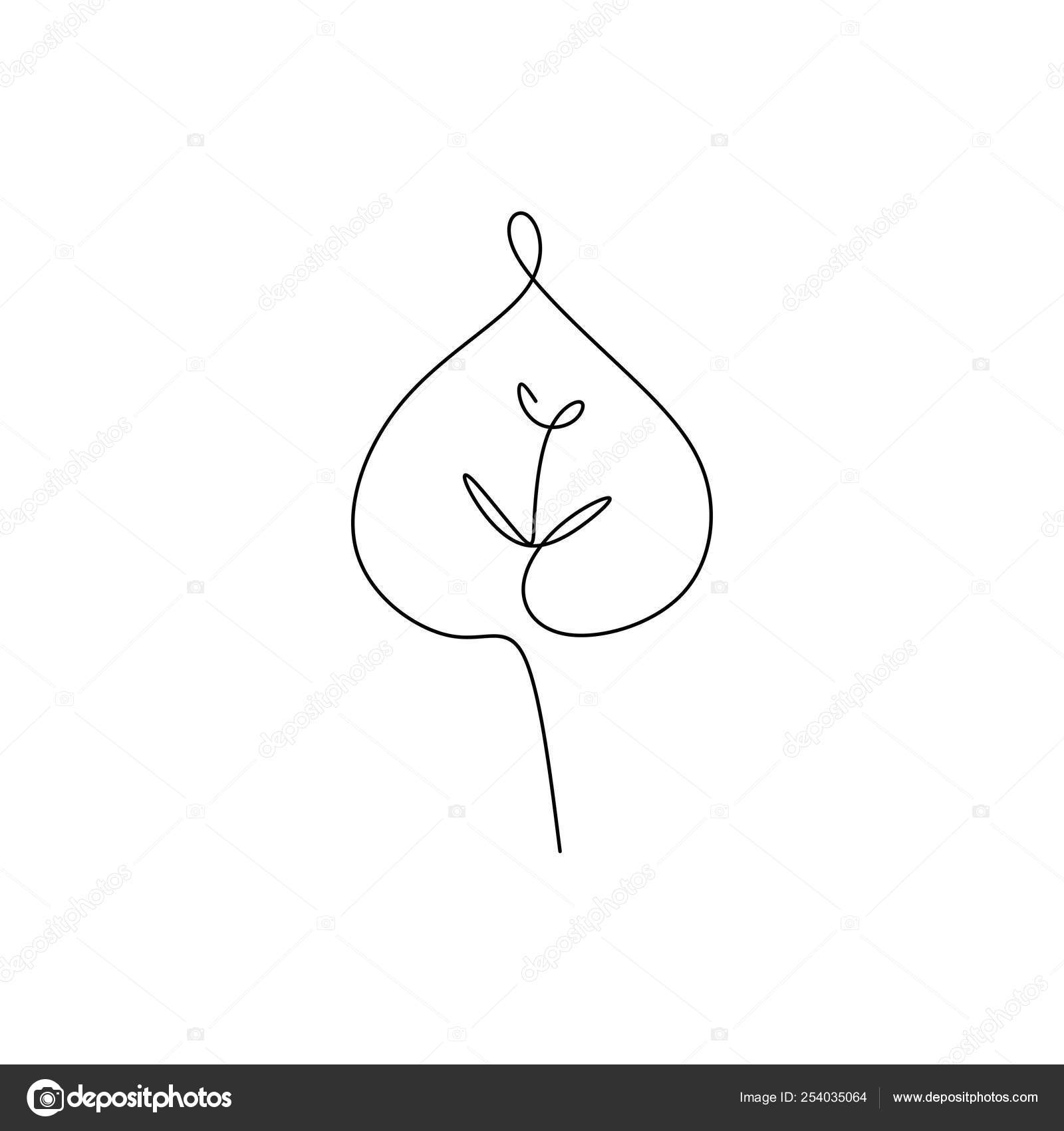 Easy Continuous Line Drawing