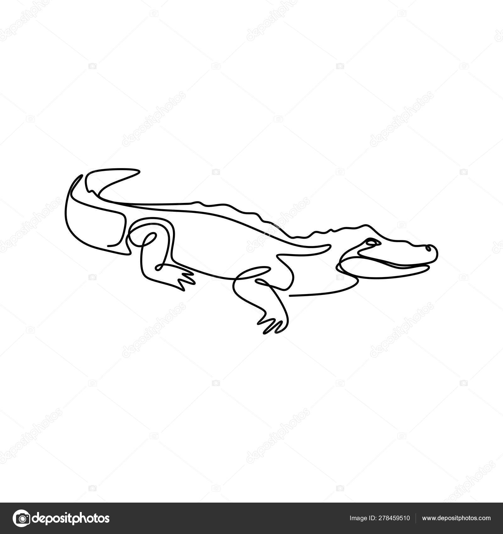 Crocodile One Line Drawing Minimalist Design Lineart Isolated White ...