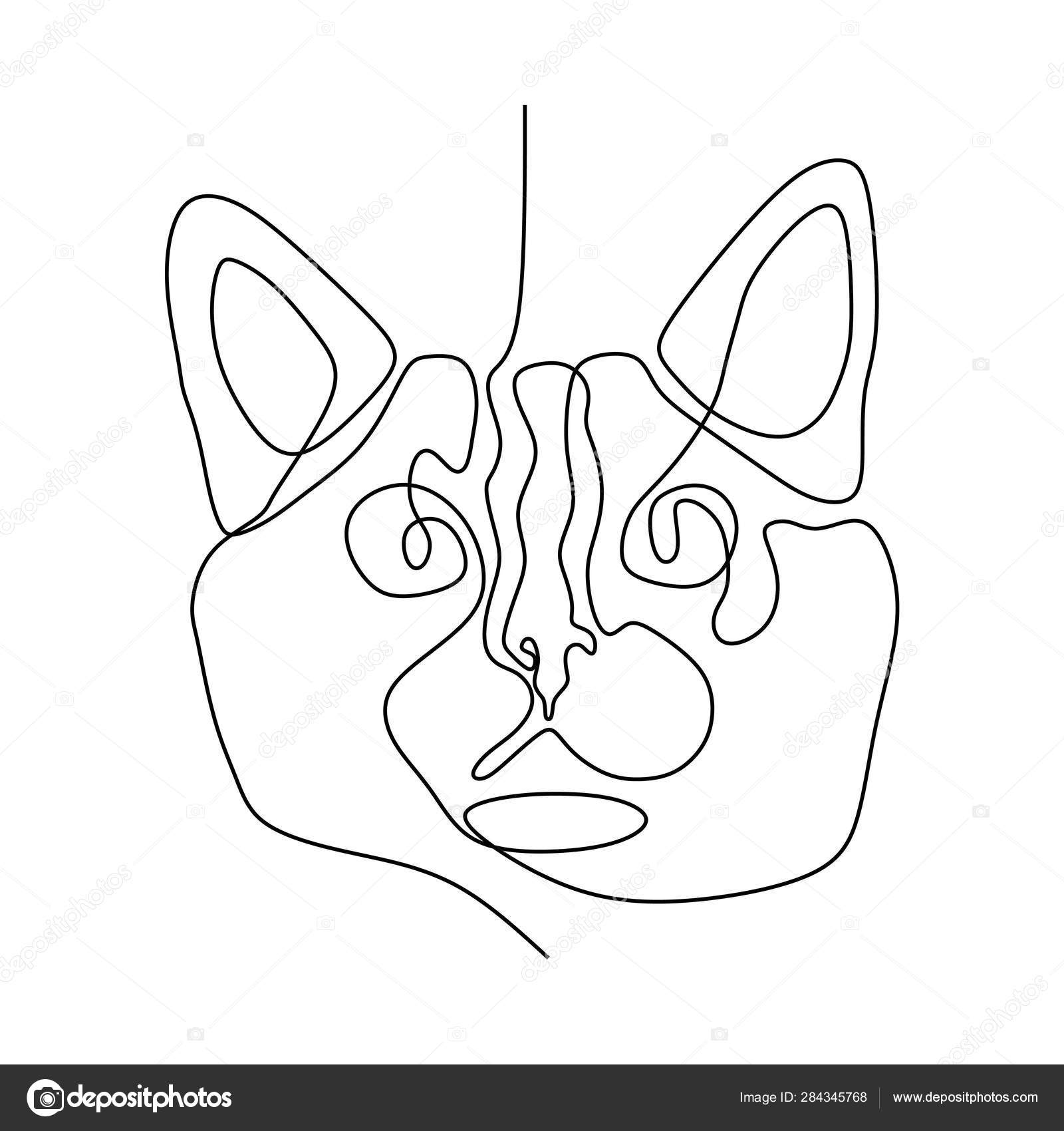 Cat Face Outline Drawing
