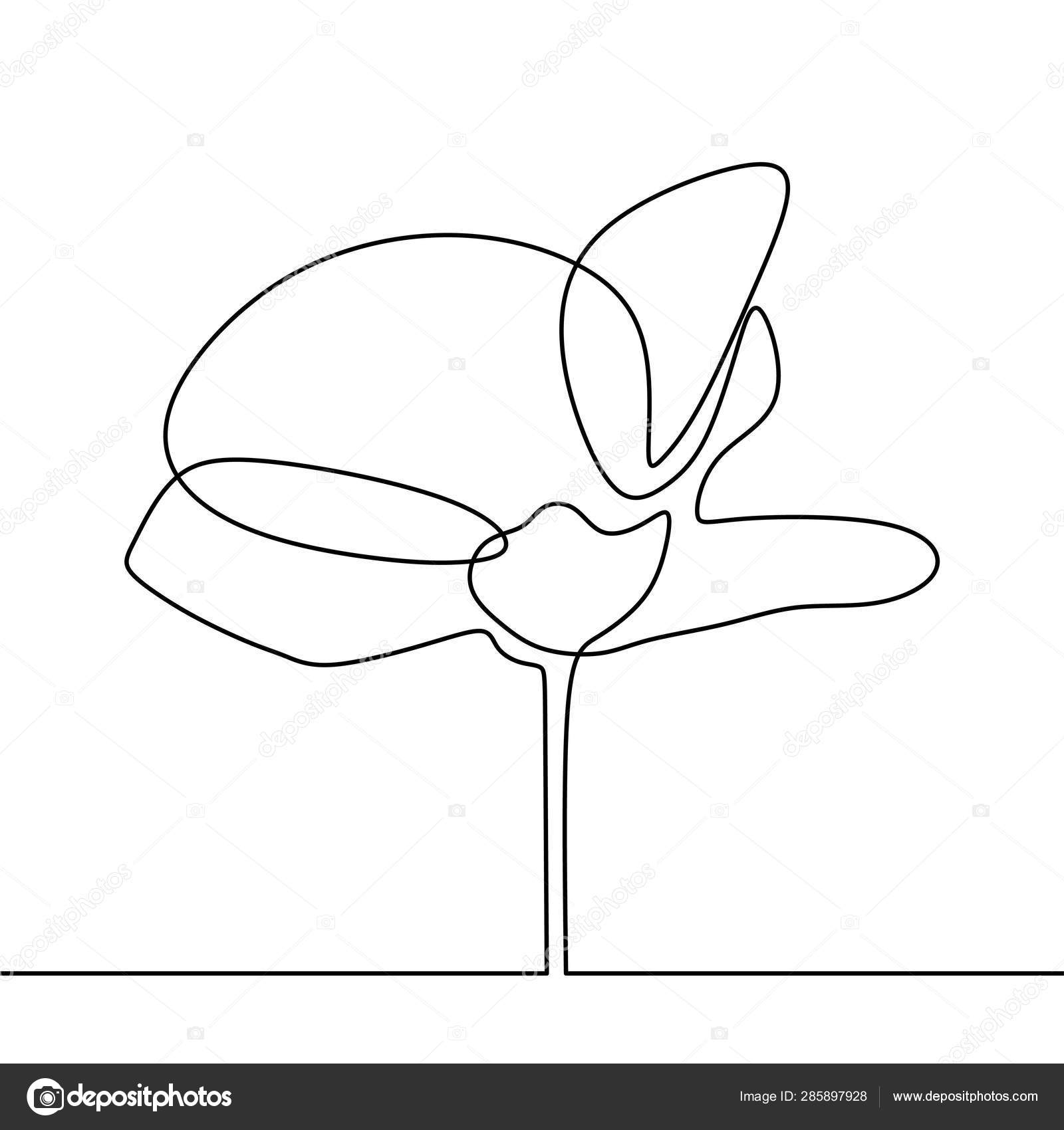 Poppy flower one line drawing continuous minimalist design isolated on ...