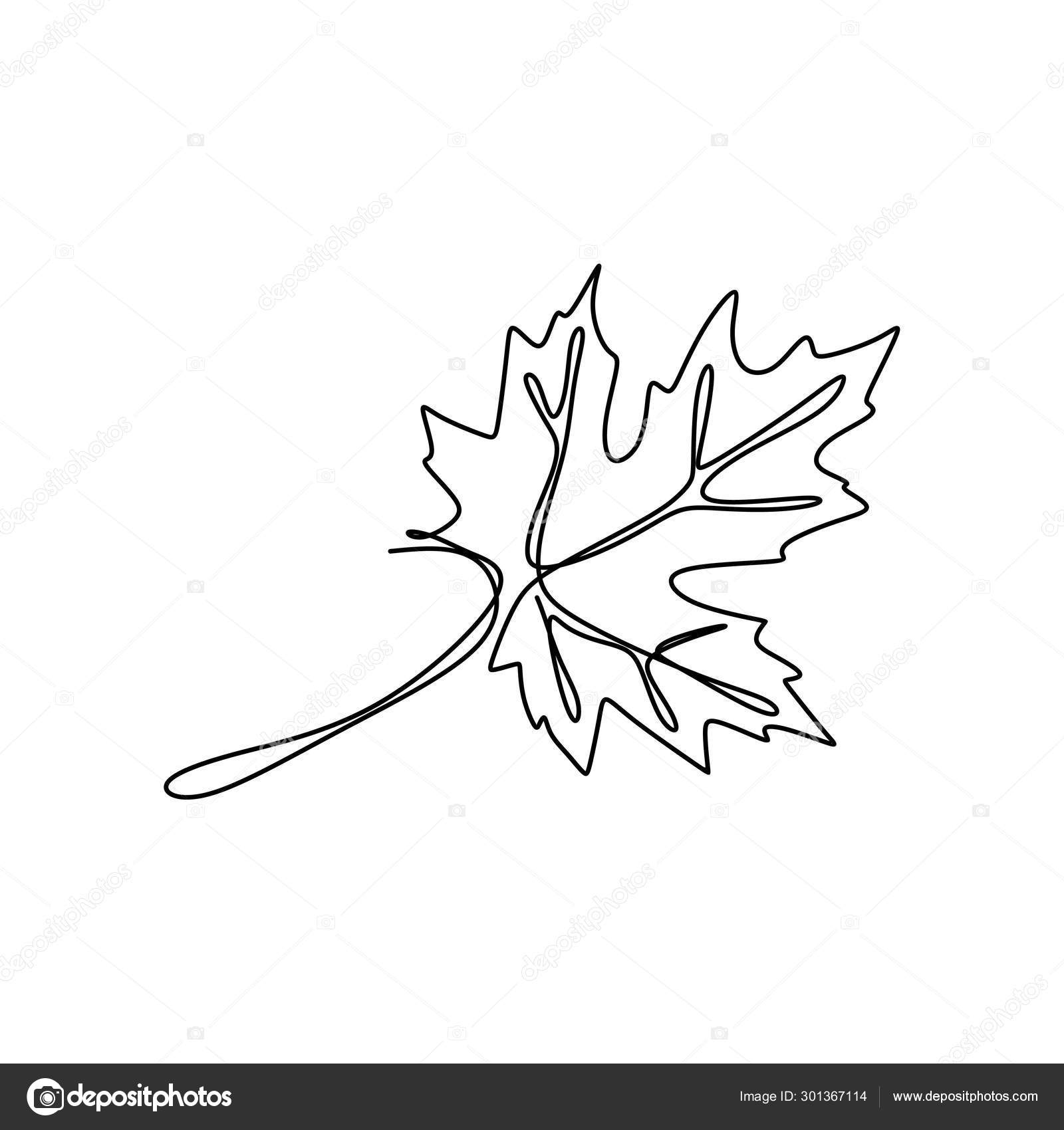 Continuous line drawing of maple leaves one hand drawn lineart design ...