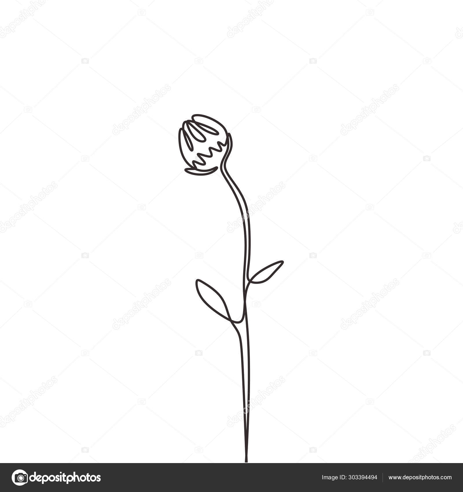 Blume kontinuierliche eine Linie Zeichnung isoliert auf weißem ...