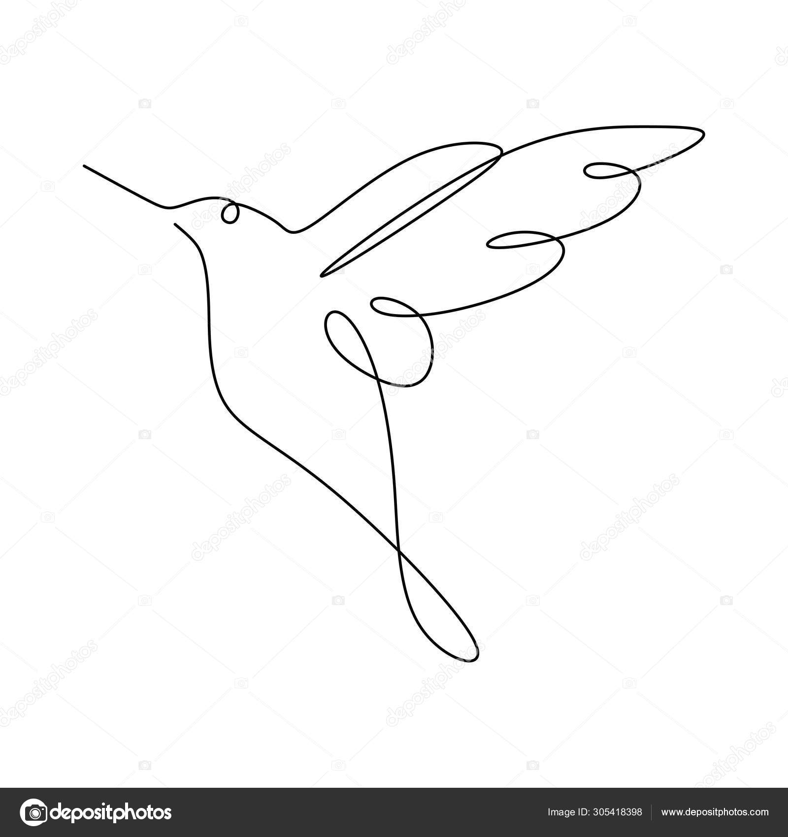 Hummingbird Outline Drawing