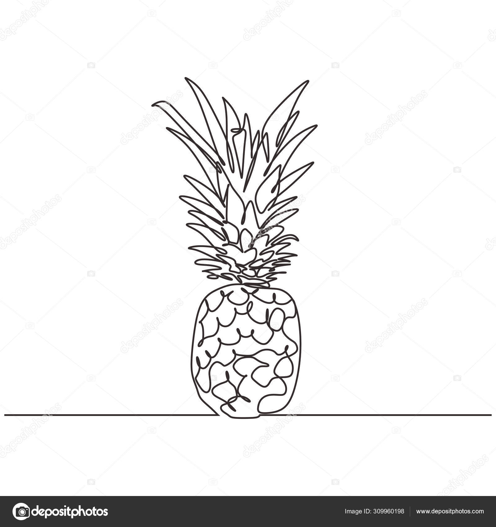 Pineapple Line Drawing