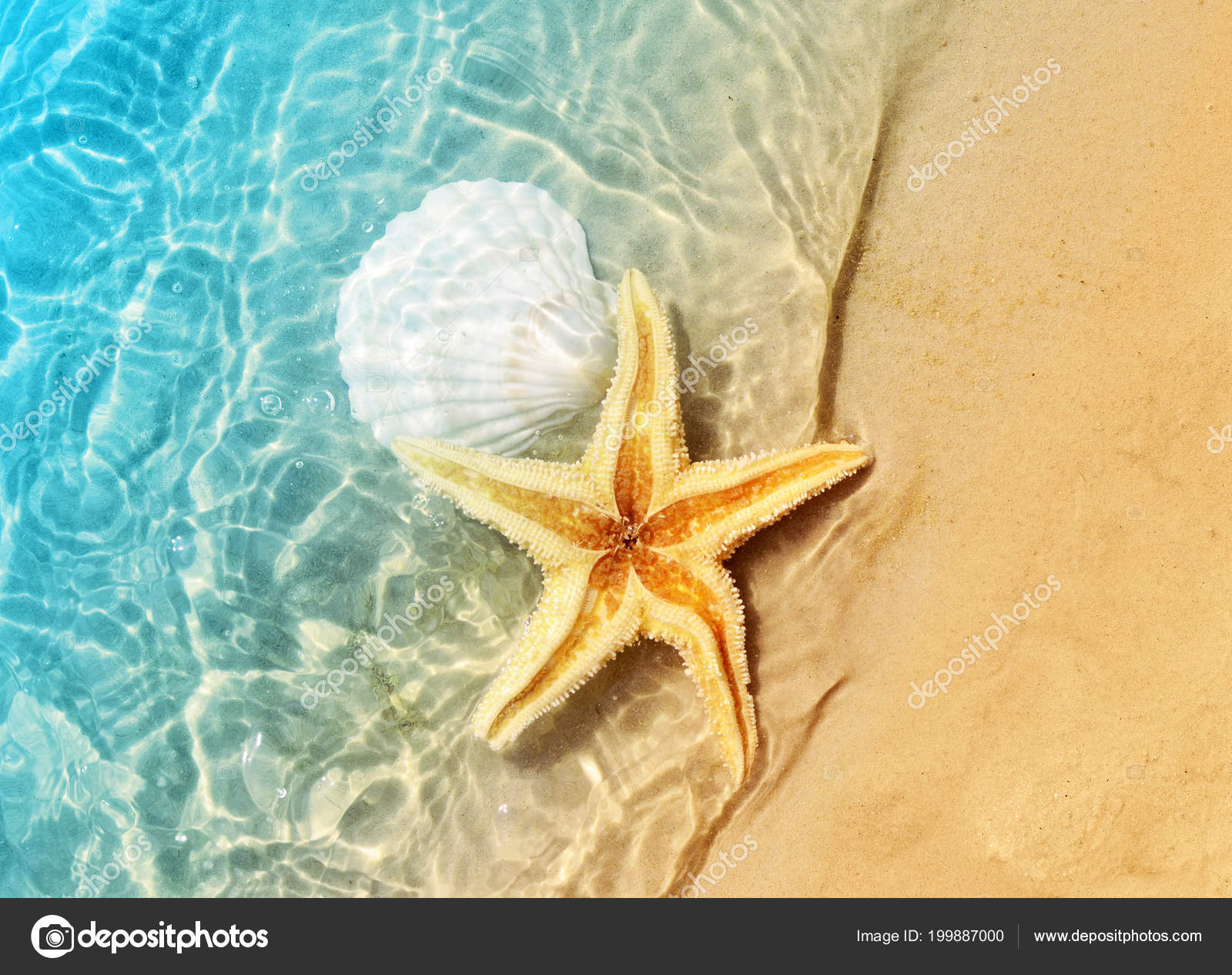 Starfish and seashell on the summer beach in sea water. Stock Photo by ...