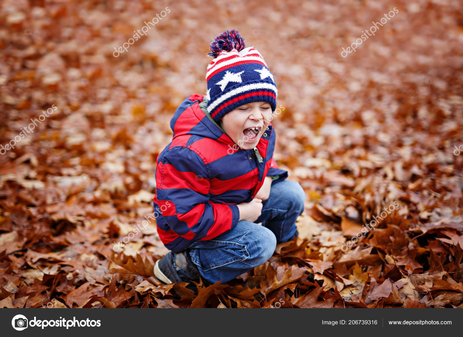 Cute little kid boy on autumn leaves background in park. Stock Photo by ...