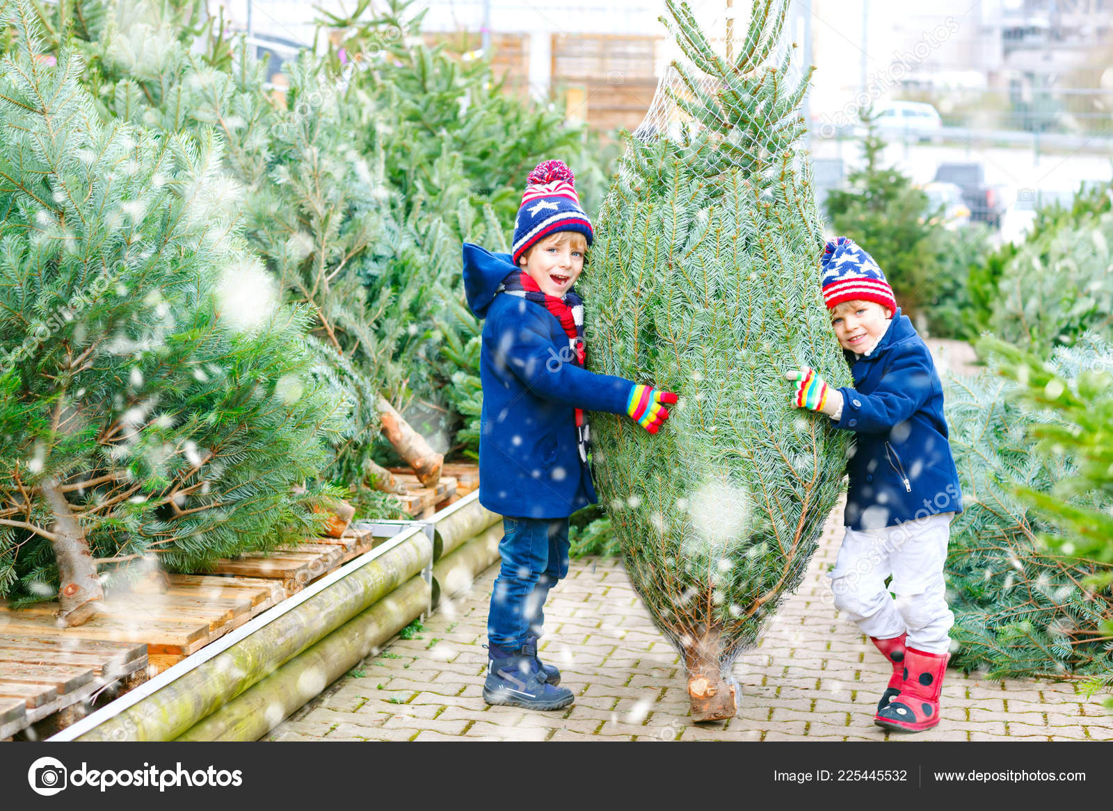 Xmas Tree Pictures For Kids