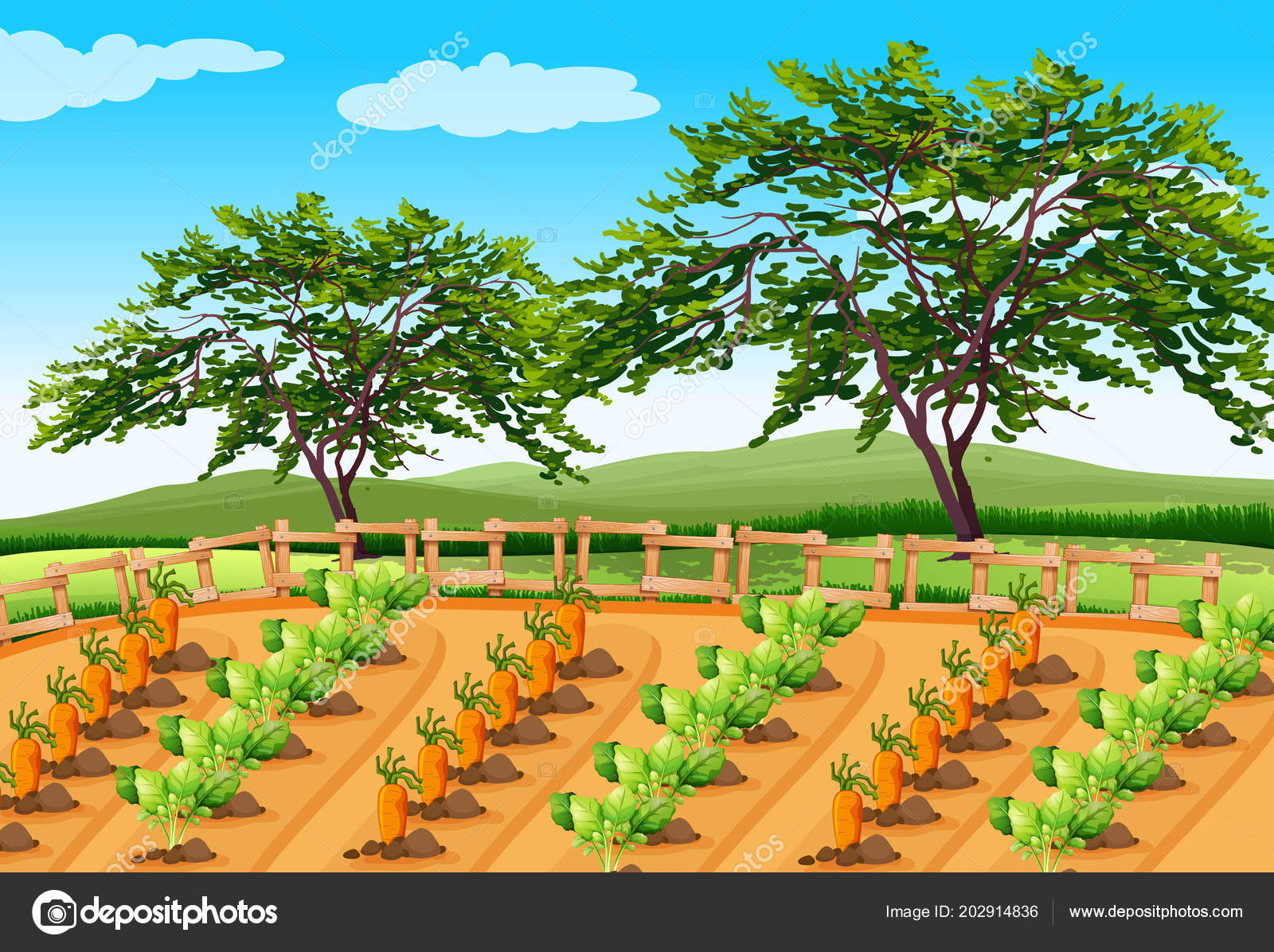 Vegetable Farming Rural Area Illustration Stock Vector Image by ...