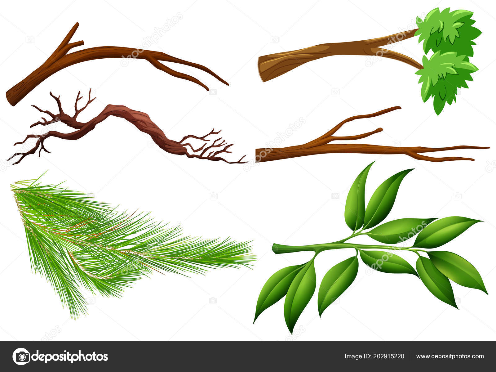 Set Tree Branch Illustration — Stock Vector © blueringmedia #202915220