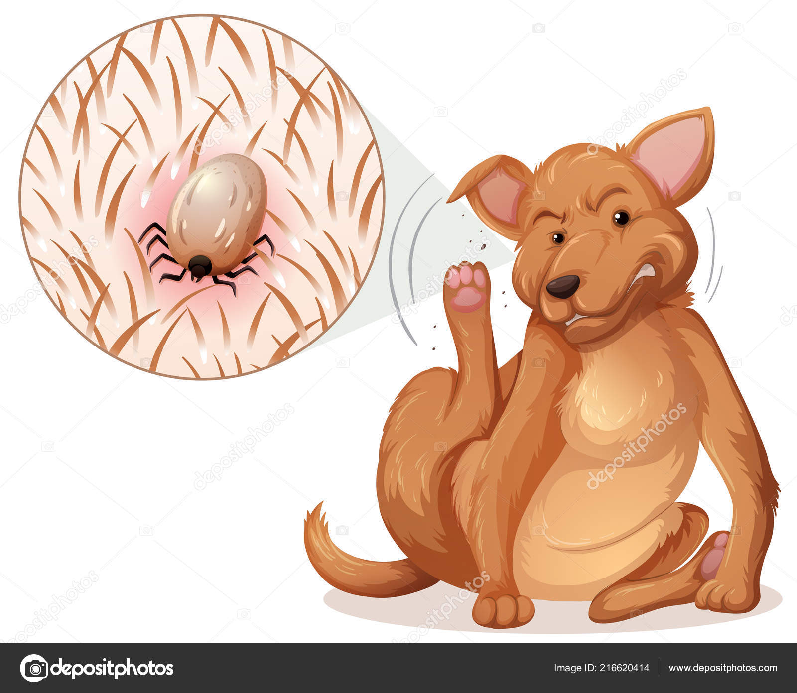Dog Flea Illustration Stock Vector Image by ©blueringmedia #216620414