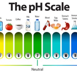 Ph scale Stock Photos, Royalty Free Ph scale Images | Depositphotos