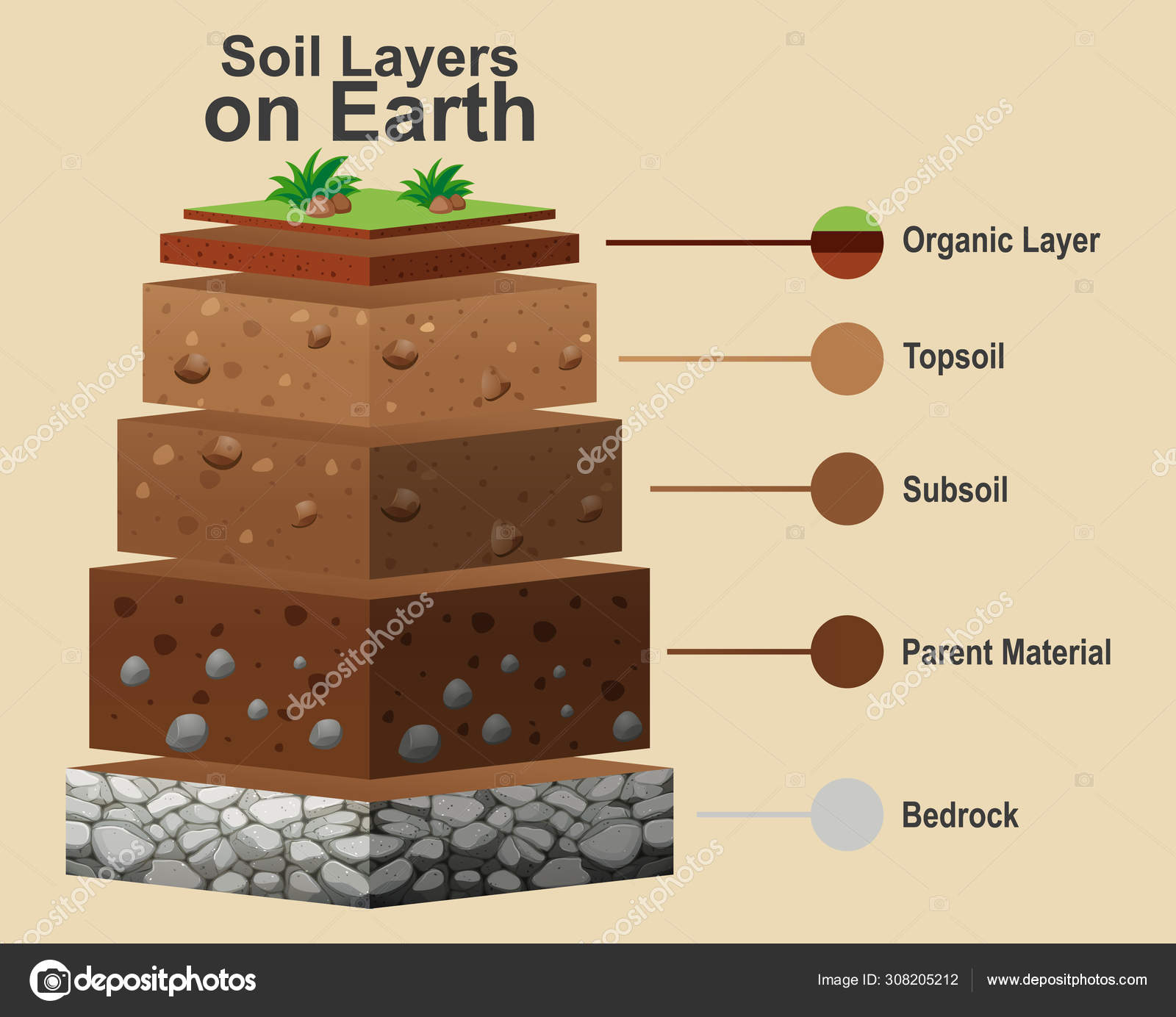 Diagramm mit verschiedenen Bodenschichten Stock Vector by ...