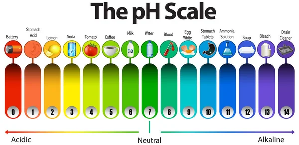 Ph Scale Examples