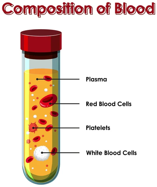 Blood Plasma Diagram