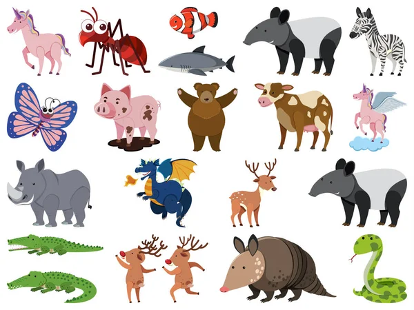 Group Of Animals Together Clipart