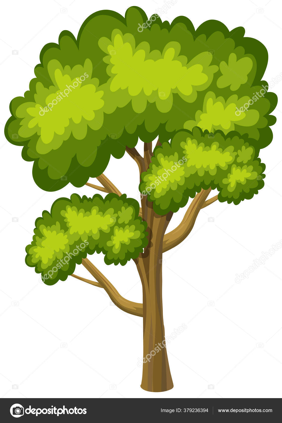 One Big Tree White Background Illustration Stock Vector Image by ...