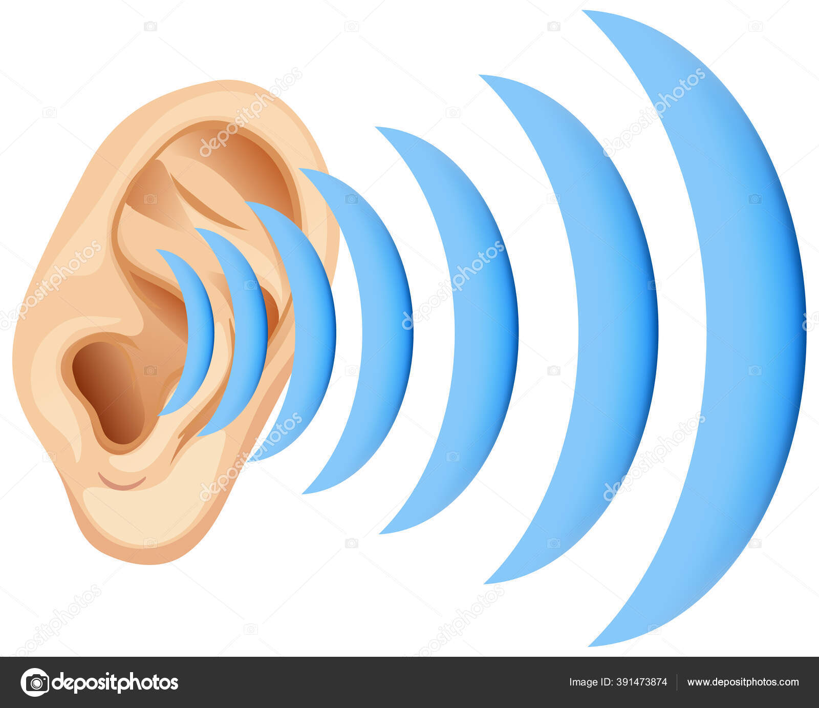 Ear Sound Clipart Ear Listening Stock Illustrations – 13,283 Ear