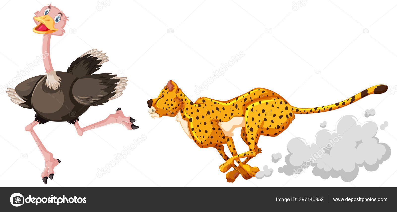 Leopard Hunting Ostriches Cartoon Character White Background ...