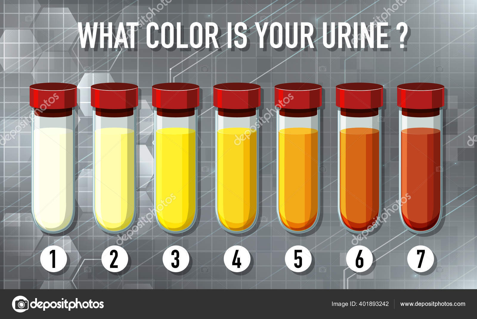 Urine Color Meaning Chart