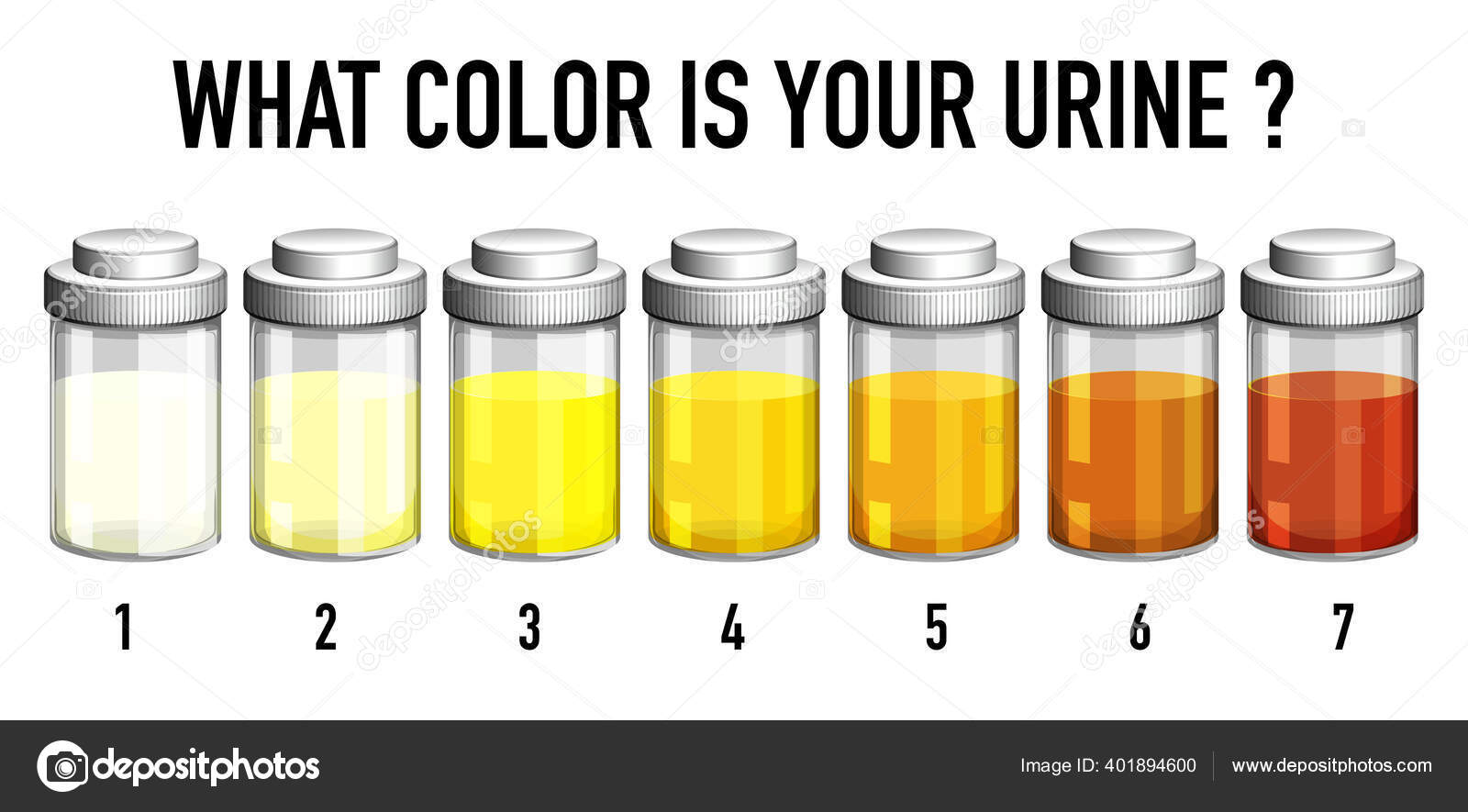 Illustration Urine Color Chart Illustration Stock Vector Image by ...