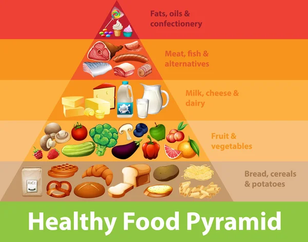 128 Food pyramid chart Stock Illustrations | Depositphotos