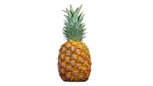 Pineapple Stock Photo by ©Maks_Narodenko 25296465