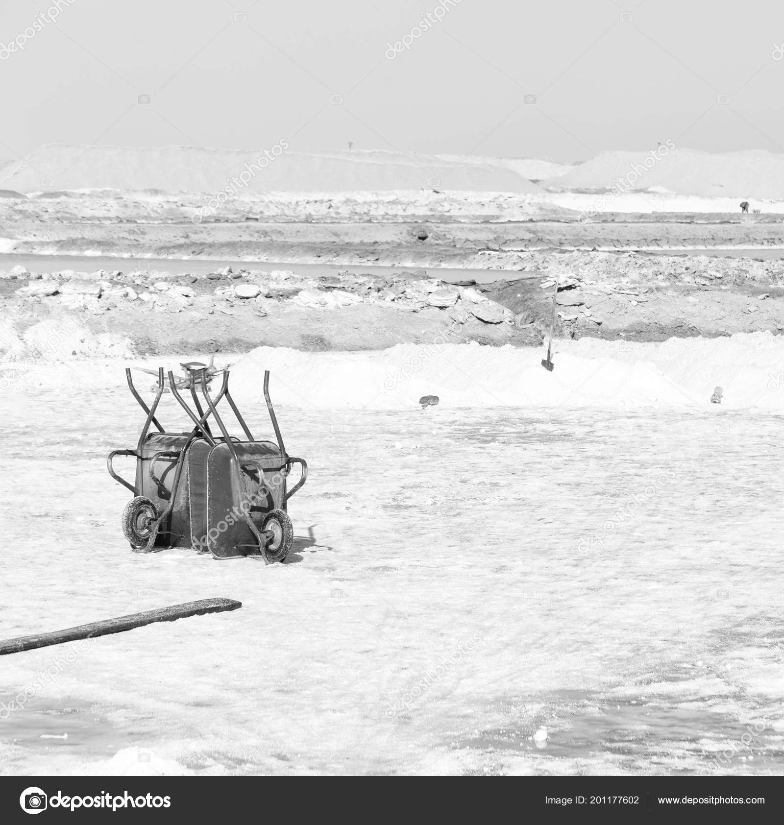 Danakil Ethiopia Africa Land Afar Salt Flat White Space Wheelbarrow ...