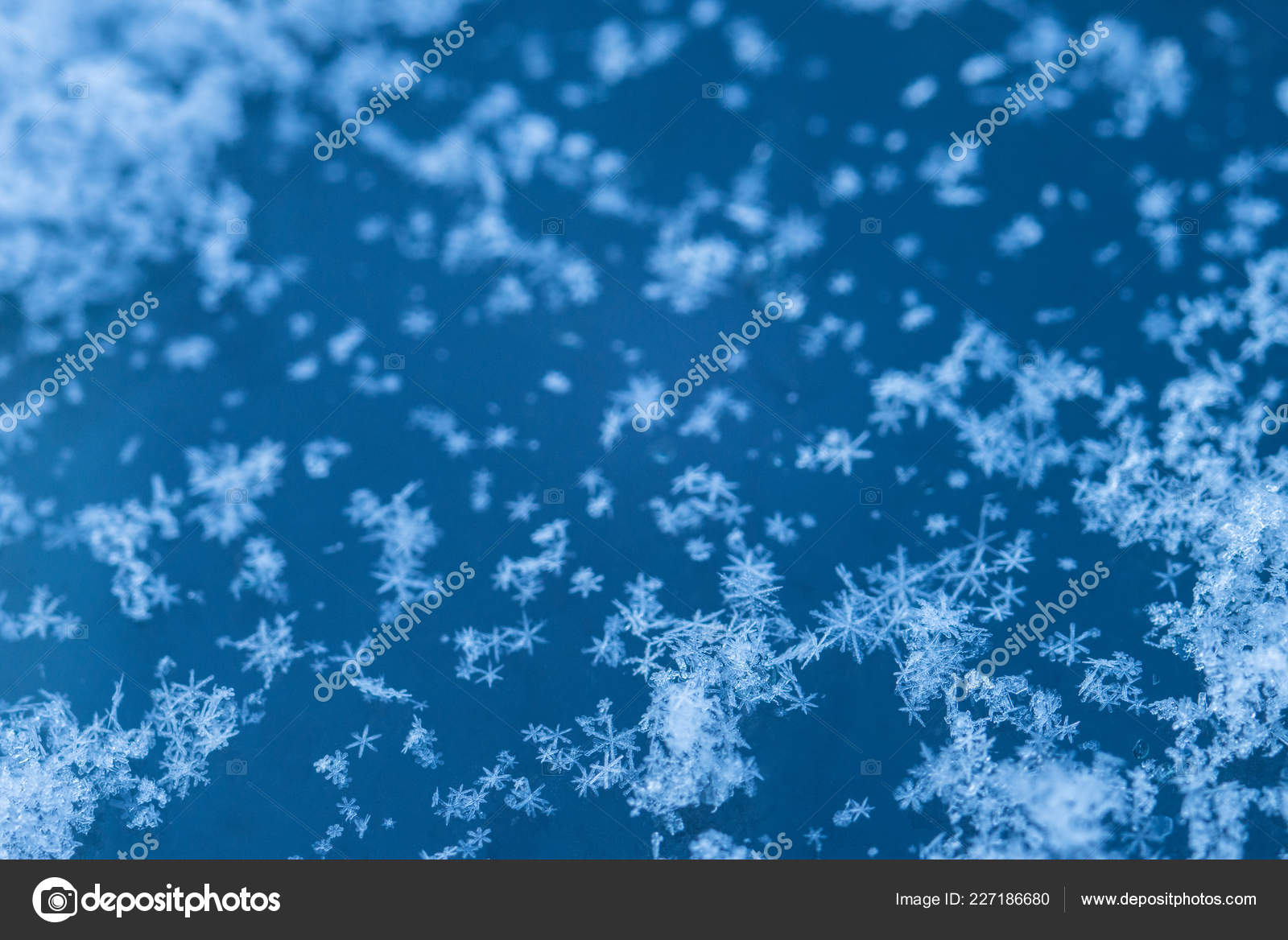 Real Snowflake Background