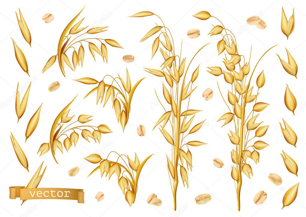 Plantas de avena, avena laminada. 3d vector realista icono conjunto 2024