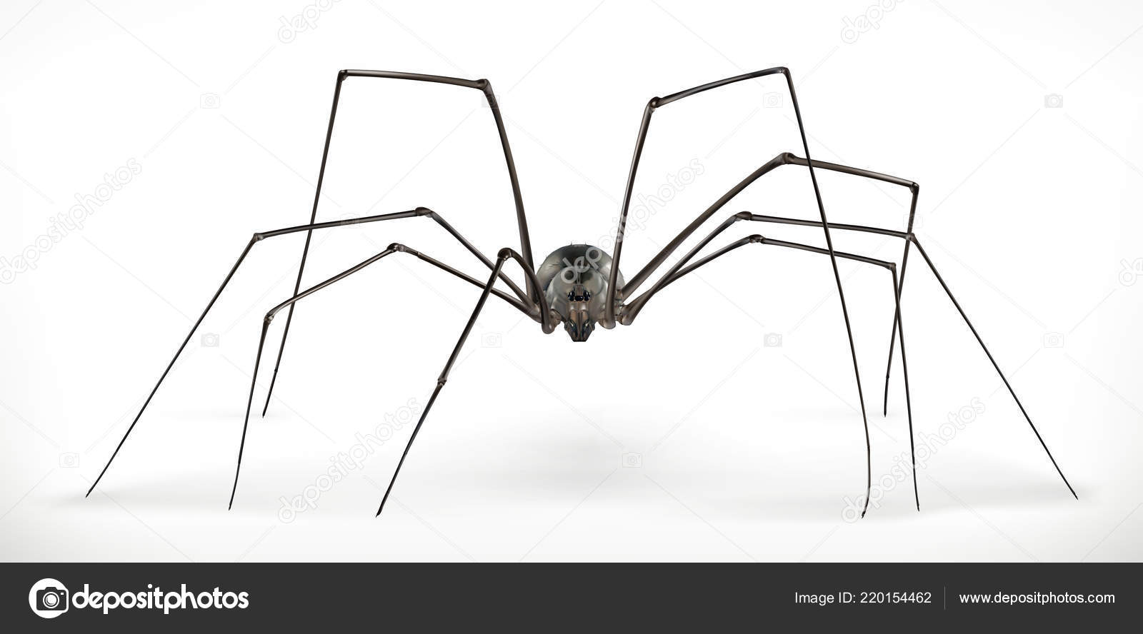 Realistic Spider Halloween Vector Icon Stock Vector Image by ©natis76 ...