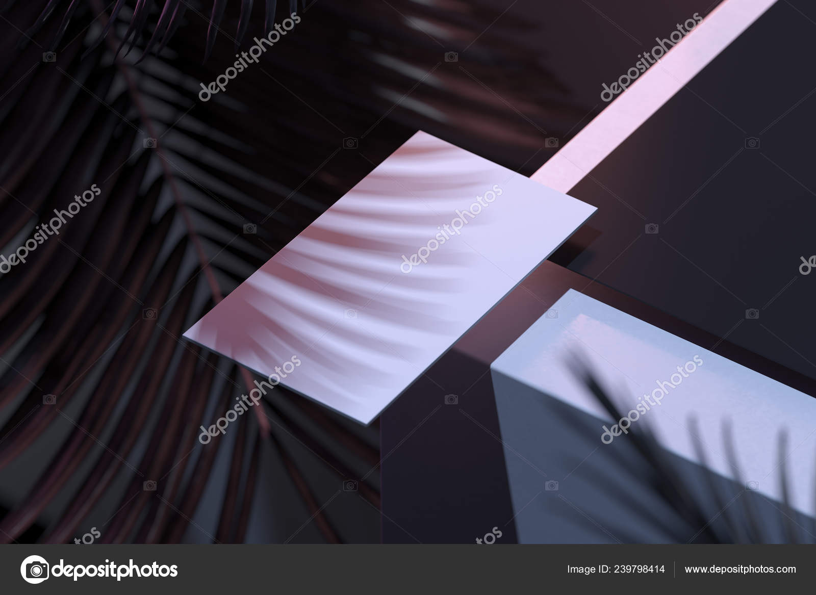 Blank card on architecture background with tropical plant shadow. 3d ...