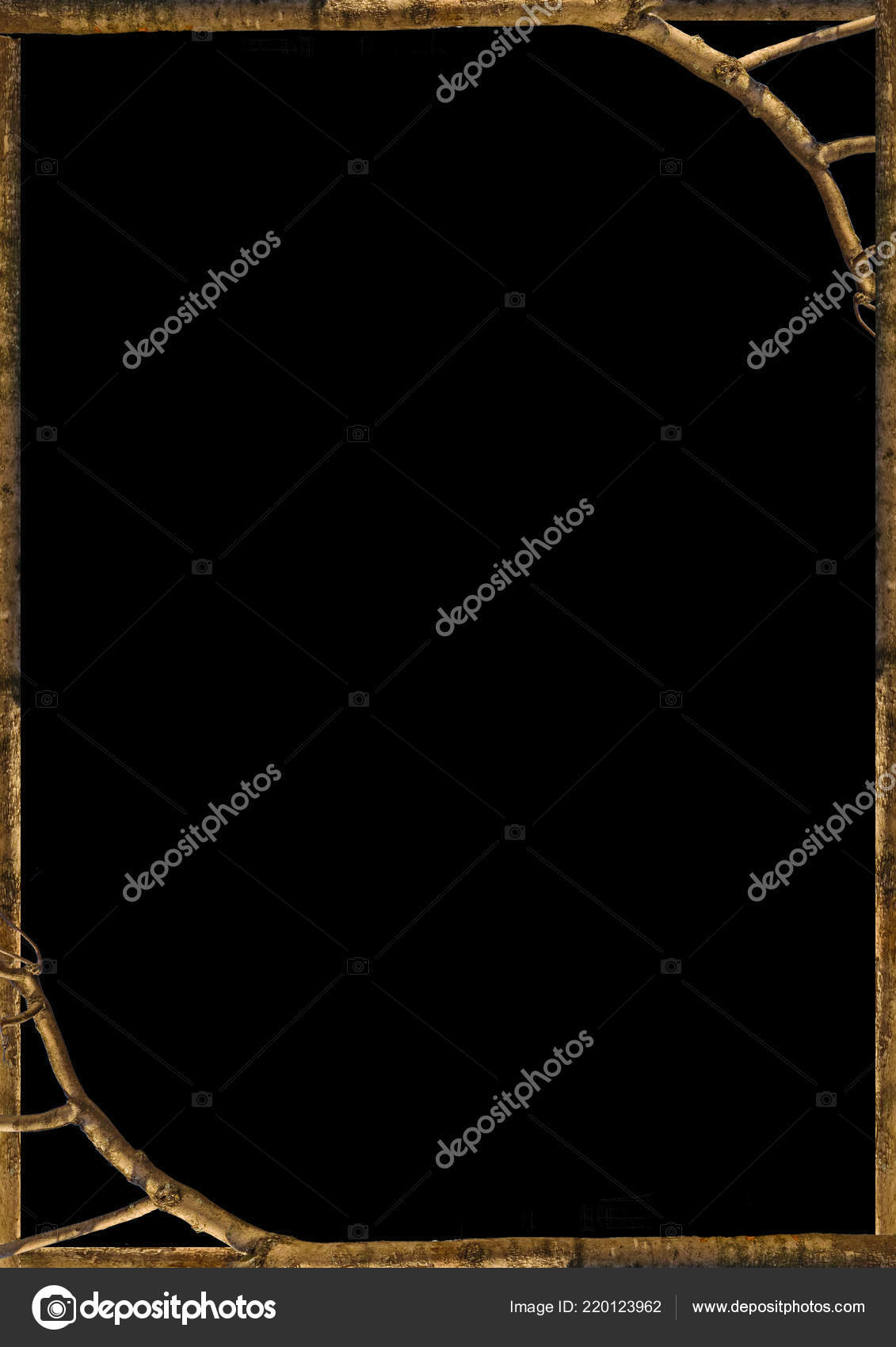 Black Frame Background Decorated Branches Borders — Stock Photo ...