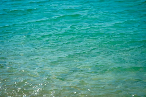 Saltwater Stock Photos, Royalty Free Saltwater Images | Depositphotos