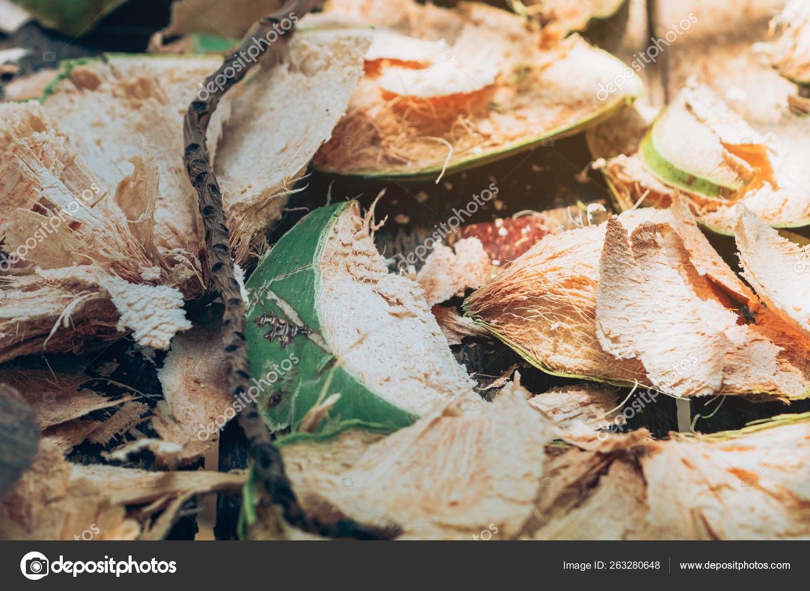 Close up to Coconut peel on the table after being peeled to make ...