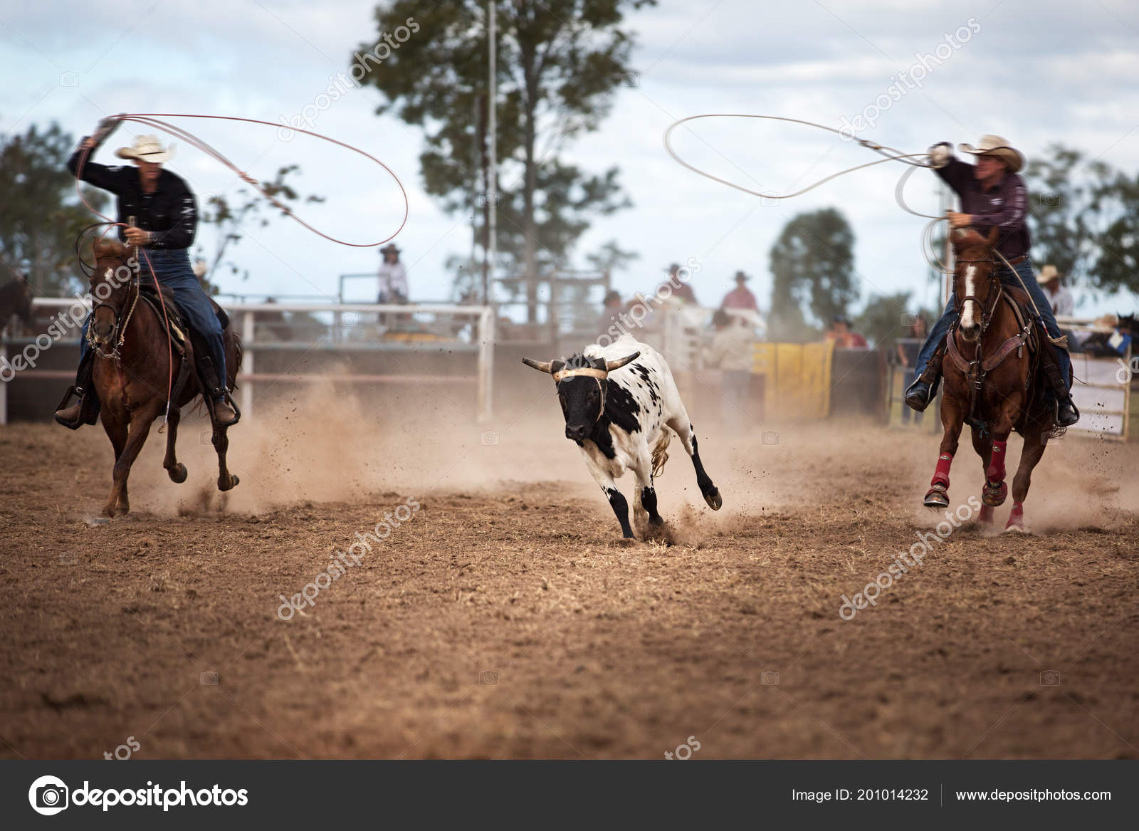 Team Roping Foto's