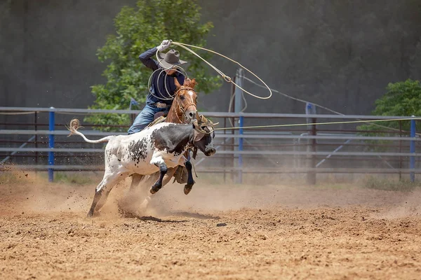 Roping Stock Photos, Royalty Free Roping Images | Depositphotos
