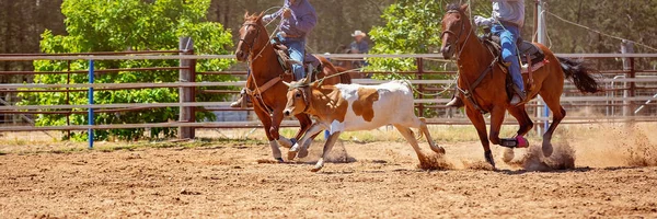 Torque springs Stock Photos, Royalty Free Torque springs Images ...