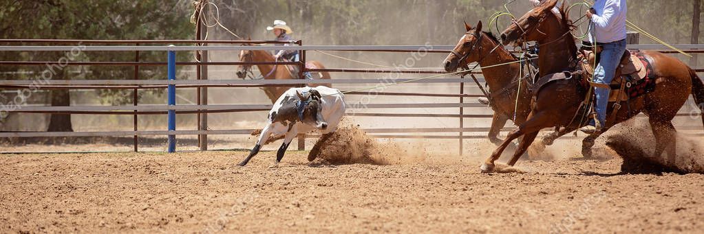 Team roping Stock Photos, Royalty Free Team roping Images | Depositphotos