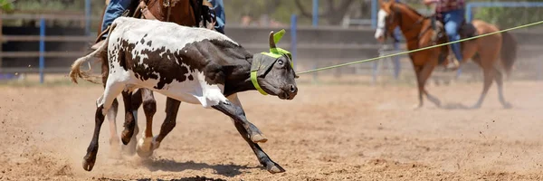 Roping Stock Photos, Royalty Free Roping Images | Depositphotos