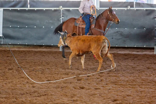 Roping Stock Photos, Royalty Free Roping Images | Depositphotos