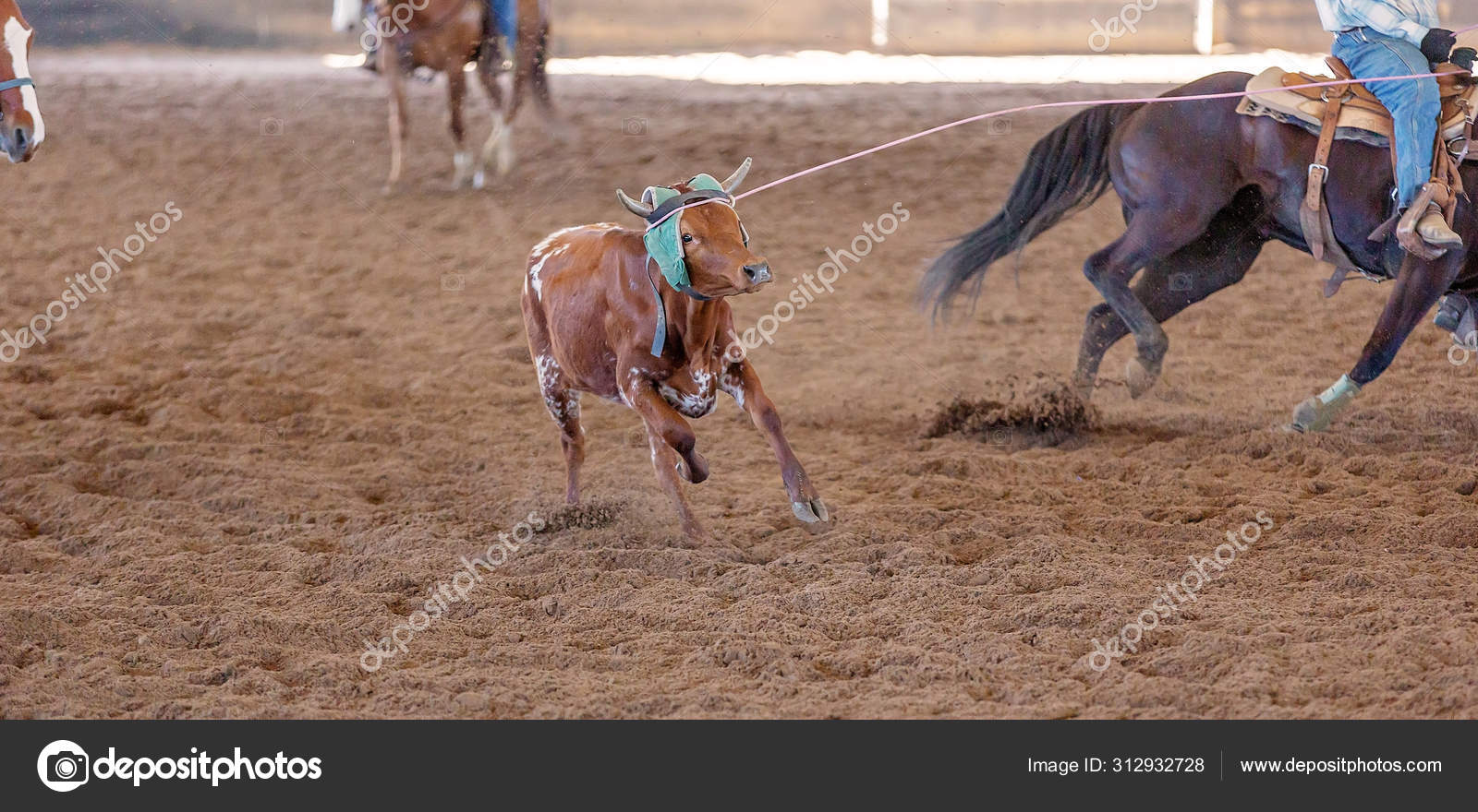 Calf Roping At An Outback Rodeo — Stock Photo © jacksonstockphotography ...