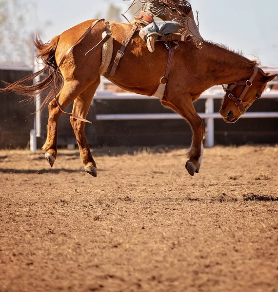 Barrel racing Stock Photos, Royalty Free Barrel racing Images ...