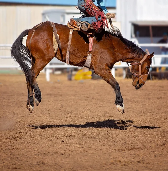 Barrel racing Stock Photos, Royalty Free Barrel racing Images ...