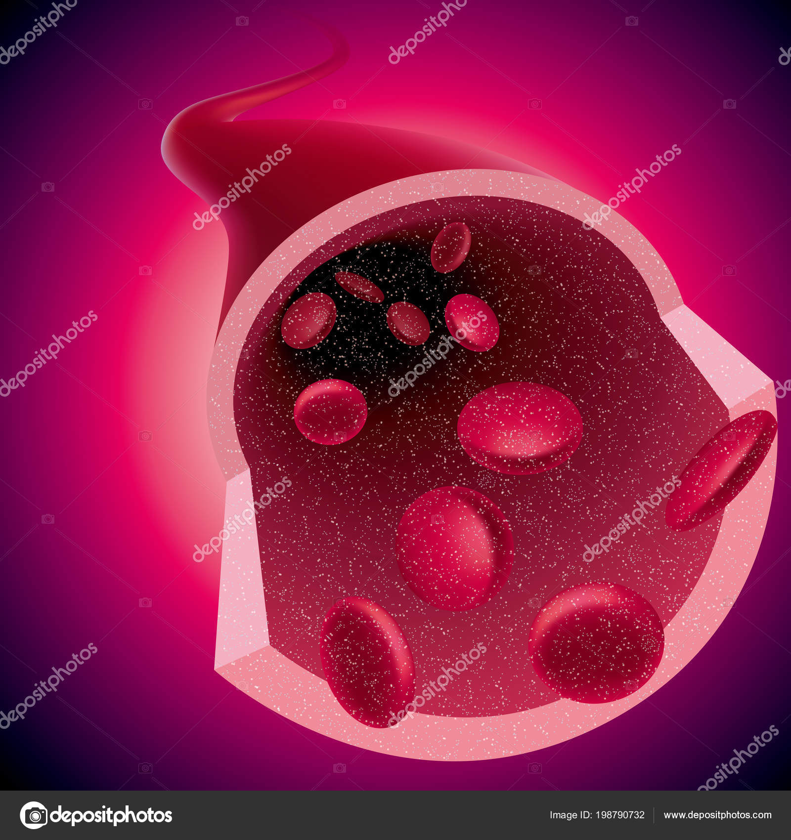 Vector Bloodstream Artery Red Background Stock Vector Image by ...
