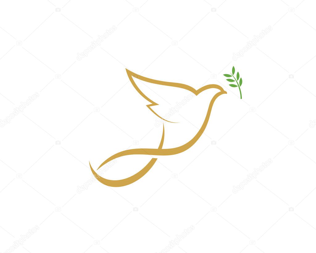 Paloma Paloma Logo Plantilla vector ilustración 2023