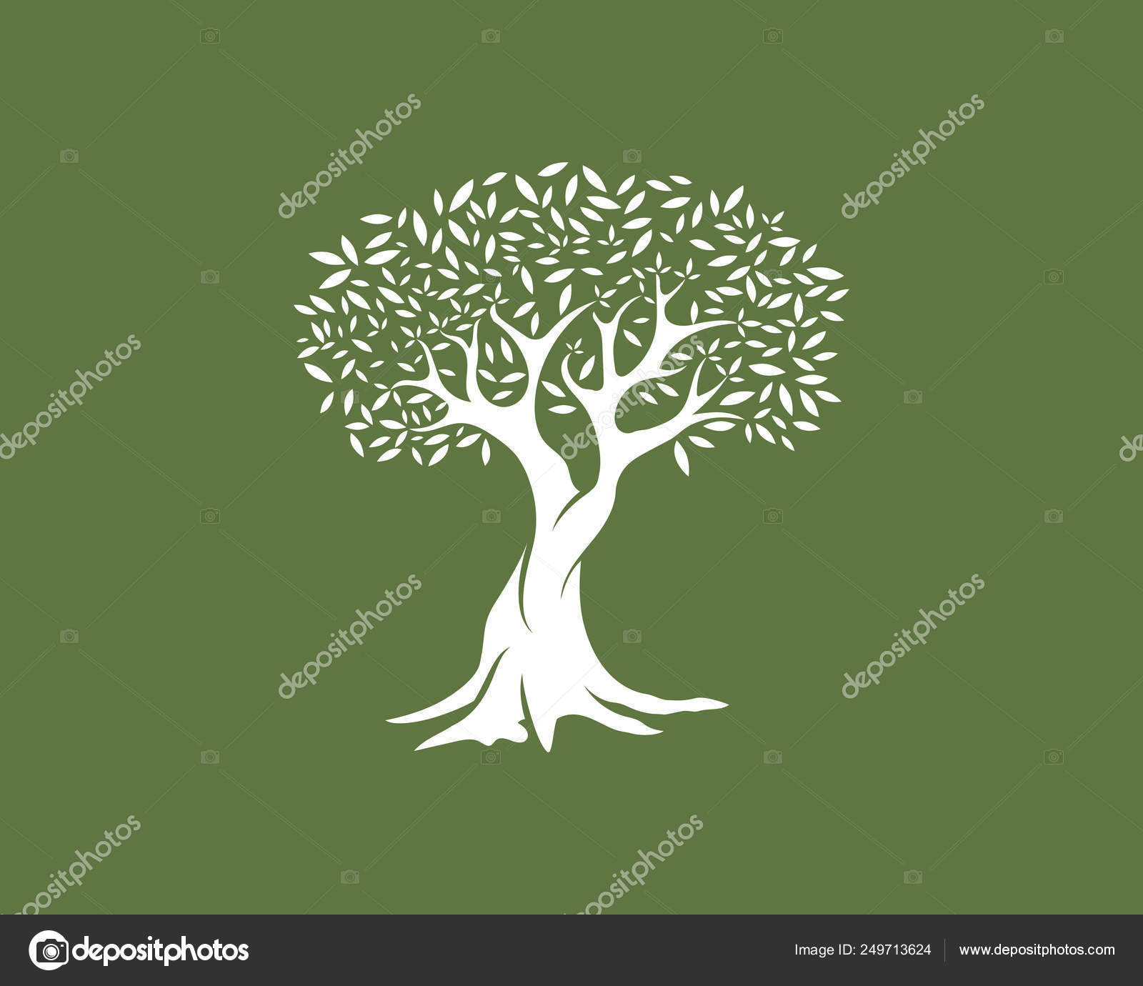 Olive Tree Vector Free Download