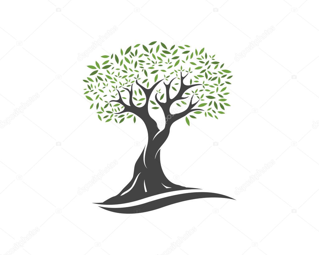 Ilustración del vector del olivo Vector de stock por ©elaelo 249714336