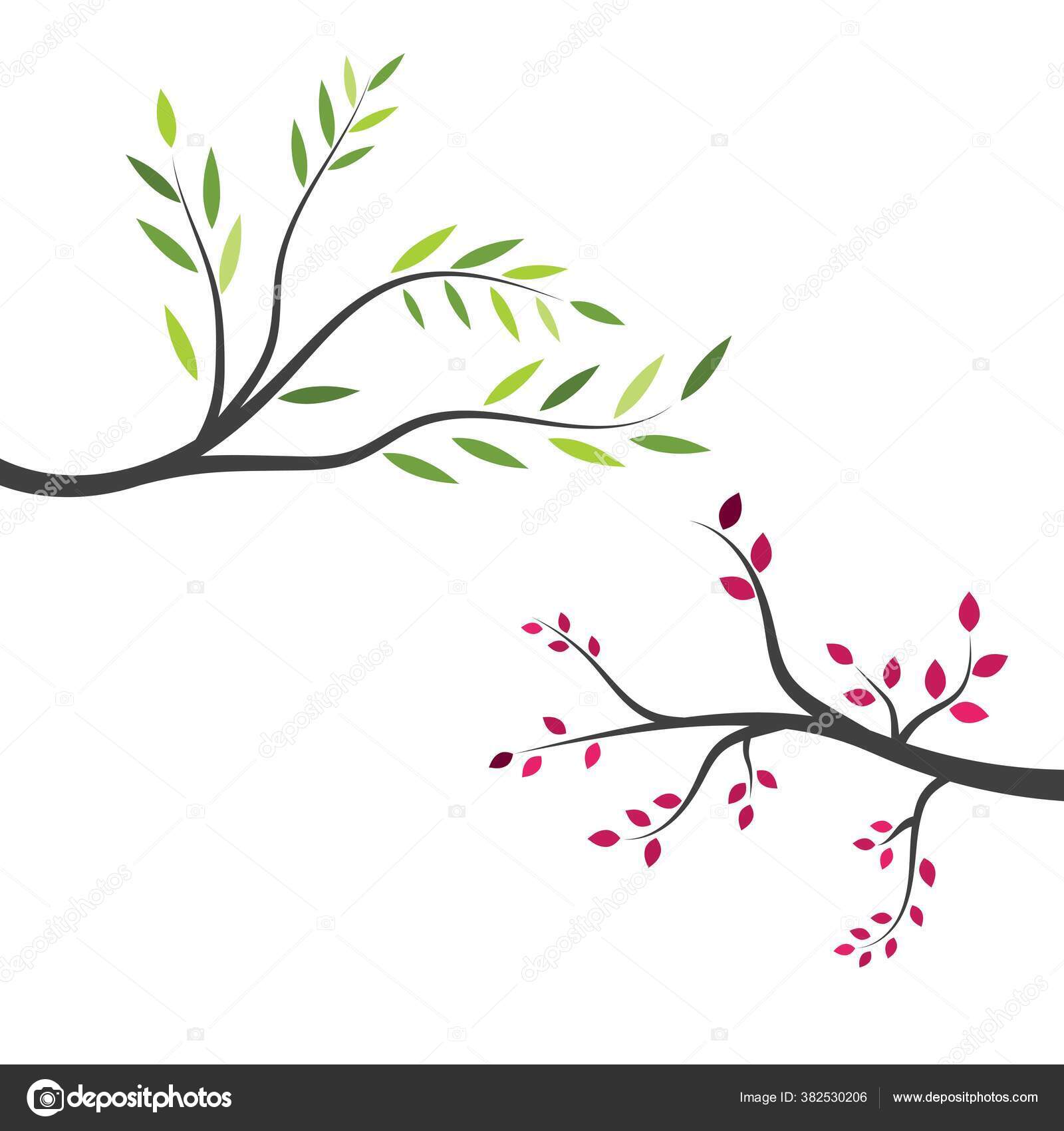 Tree Branch Vector Ilustration Design Template Stock Vector by ©elaelo ...