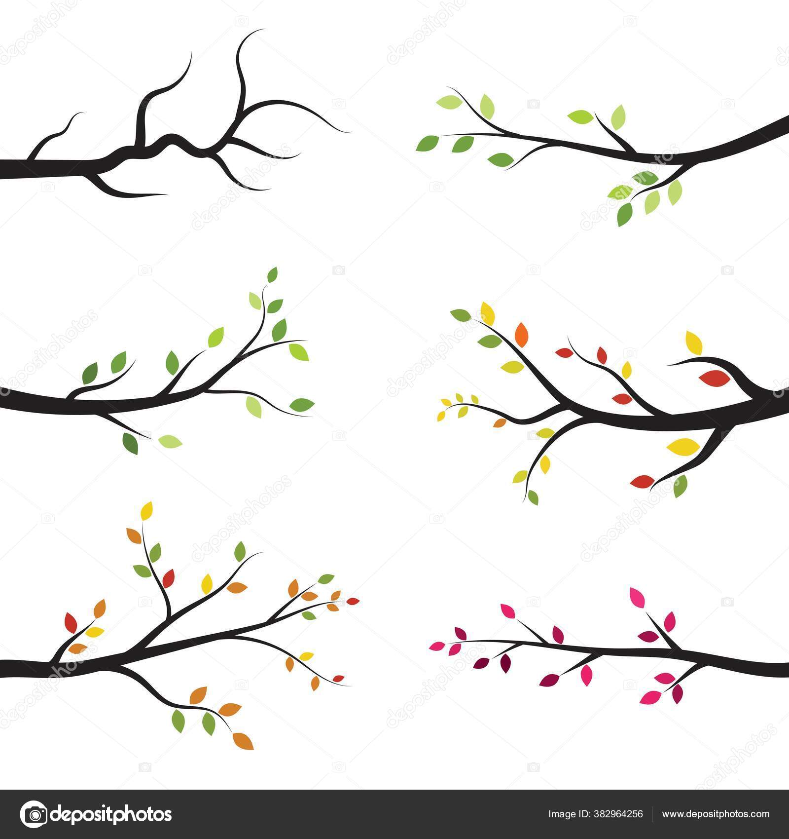 Árbol Rama Vector Ilustración Diseño Plantilla Vector de stock ...