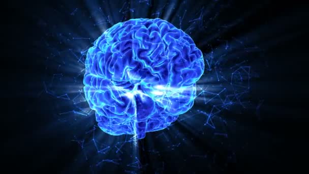 Shining brain Stock Vector Image by ©MarynaBolsunova #49344559